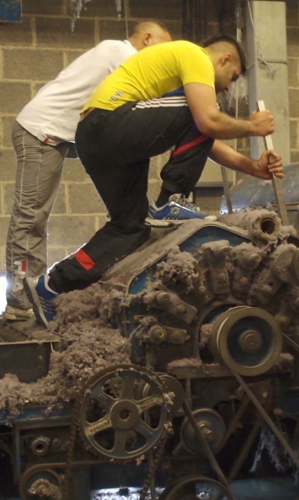 Hanna Rose Shell | Media Fabric, Textile Skin - MIT Open Documentary Lab