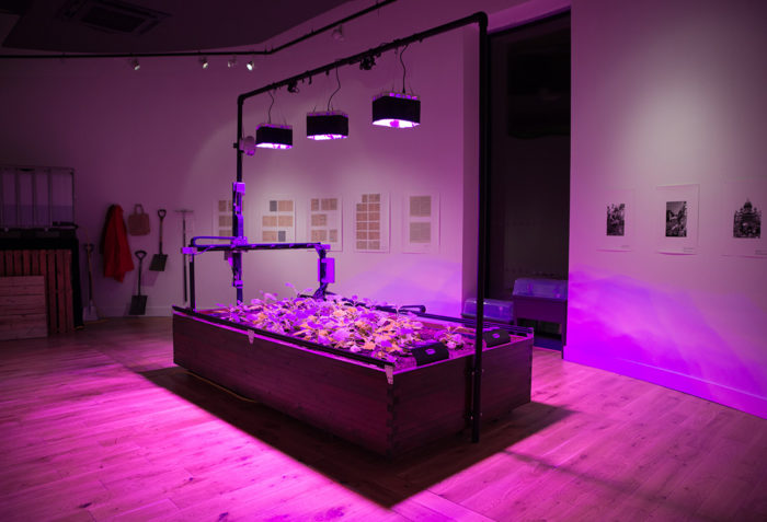 ODL fellow Callum Cooper’s show “VAVILOV” on view in Manchester - MIT ...